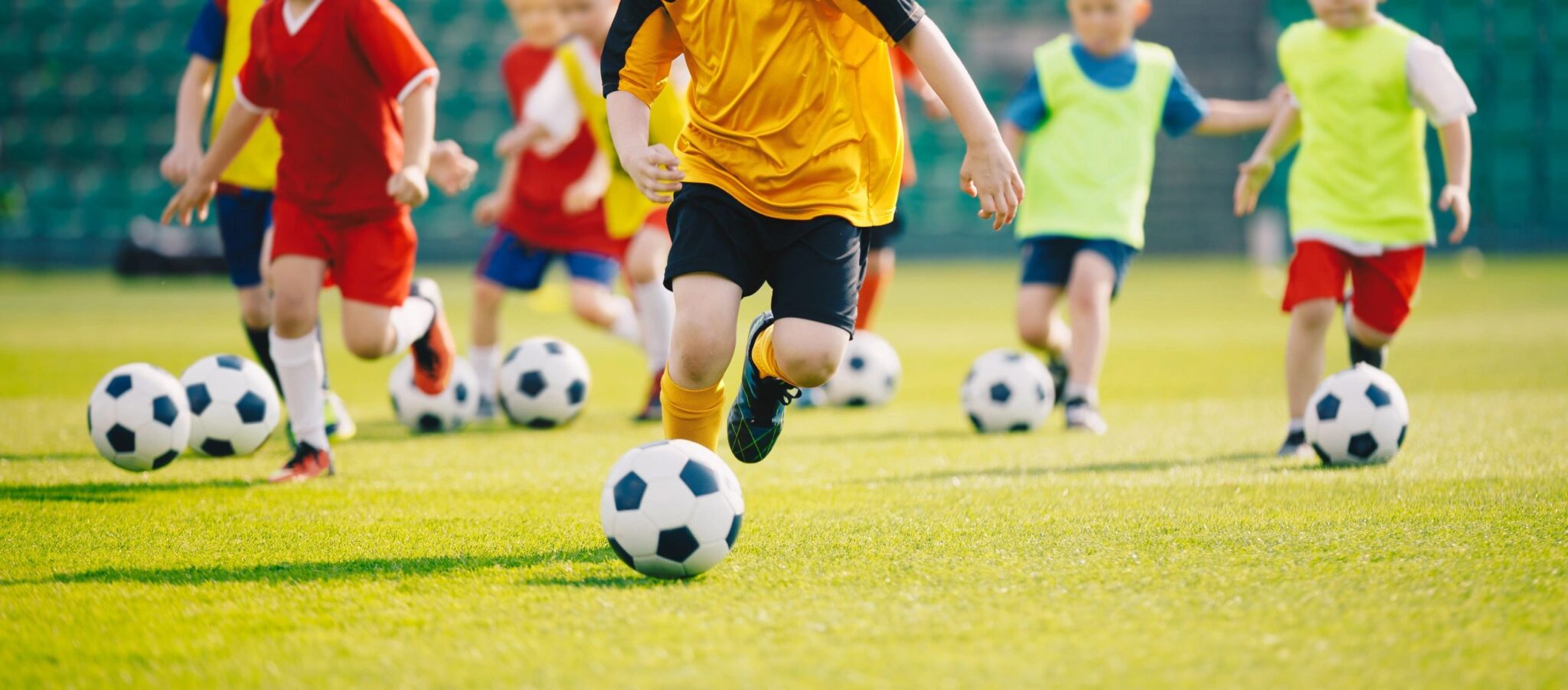 Recreational - FC Tampa Shimberg : since 1972