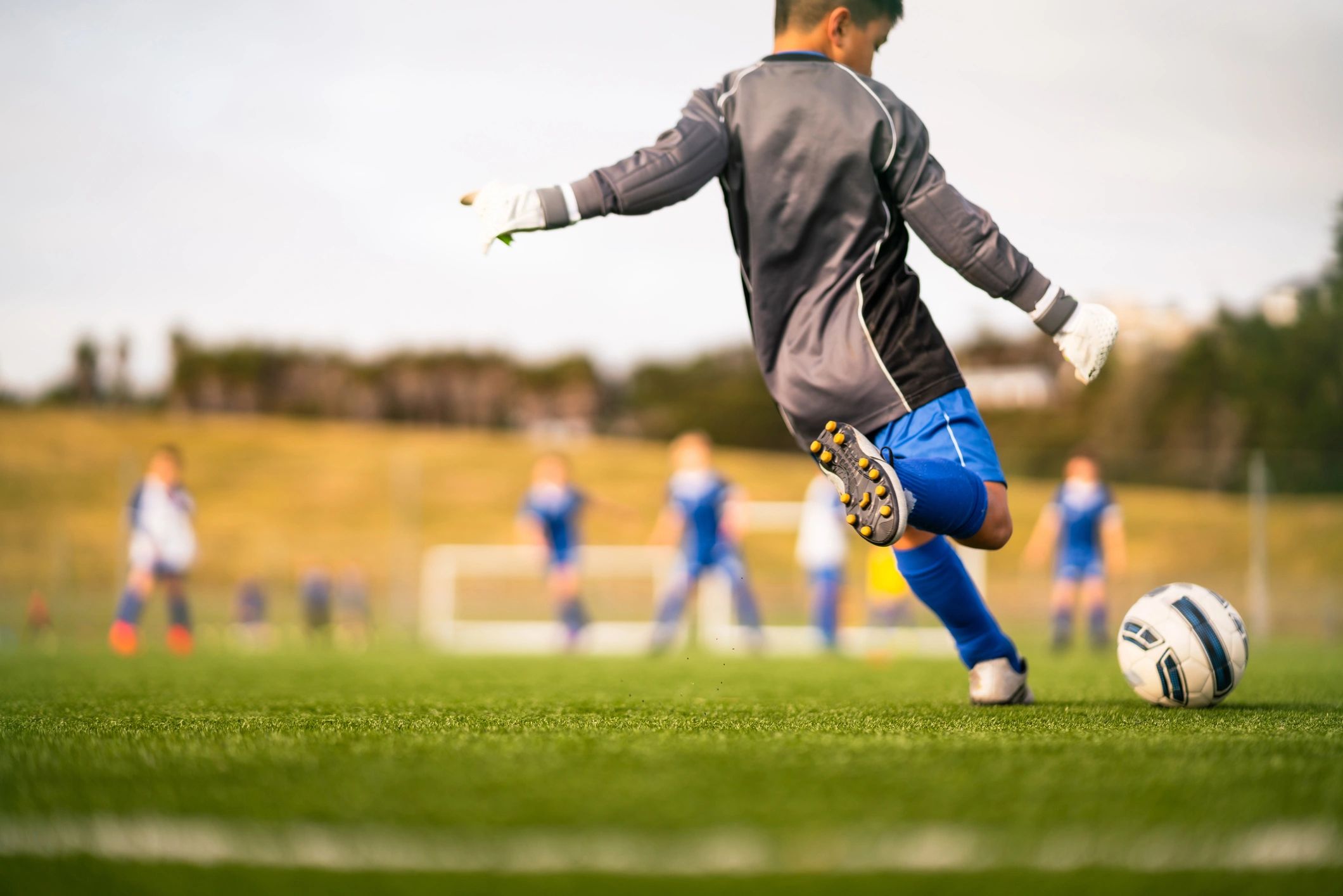 FC Tampa Shimberg : since 1972 - FC Tampa Shimberg is a community ...