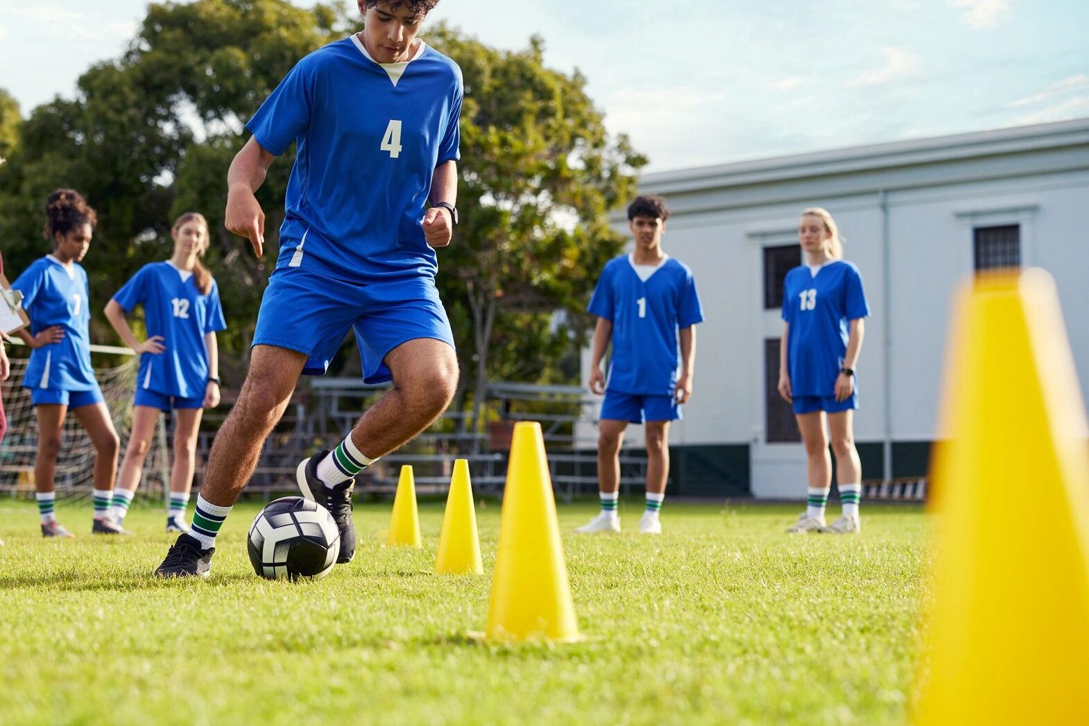 FC Tampa Shimberg : since 1972 - FC Tampa Shimberg is a community ...