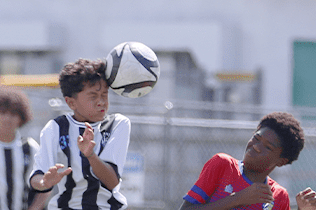 FC Tampa Shimberg : since 1972 - FC Tampa Shimberg is a community ...
